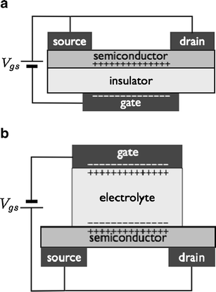 Advances in organic transistor-based biosensors: from organic ...