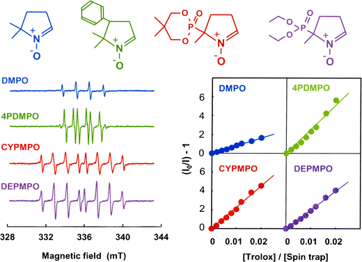 Characteristics of the spin-trapping reaction of a free radical derived ...