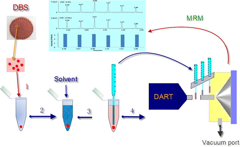 Newborn screening of phenylketonuria using direct analysis in real time ...