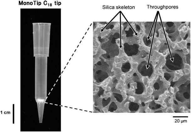 Applications of monolithic solid-phase extraction in chromatography ...
