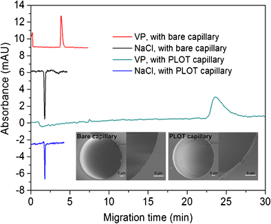 Preparation and characterization of micro-cell membrane chromatographic ...