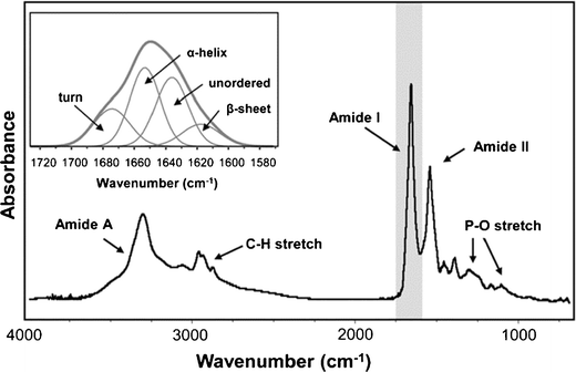 Mid-infrared spectroscopy for protein analysis: potential and ...