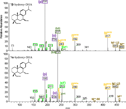 Analysis of diterpenic compounds by GC-MS/MS: contribution to the ...