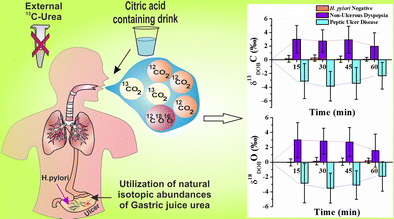 Natural 18O and 13C-urea in gastric juice: a new route for non-invasive ...