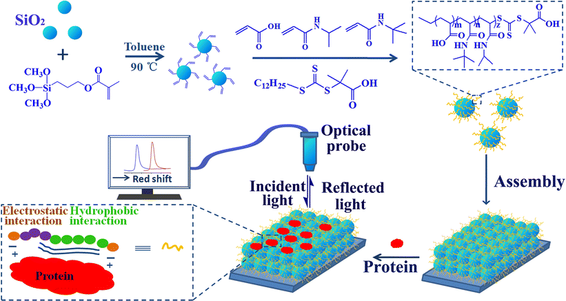 Self-assembly of the polymer brush-grafted silica colloidal array for ...
