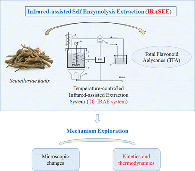 A simple and rapid infrared-assisted self enzymolysis extraction method ...