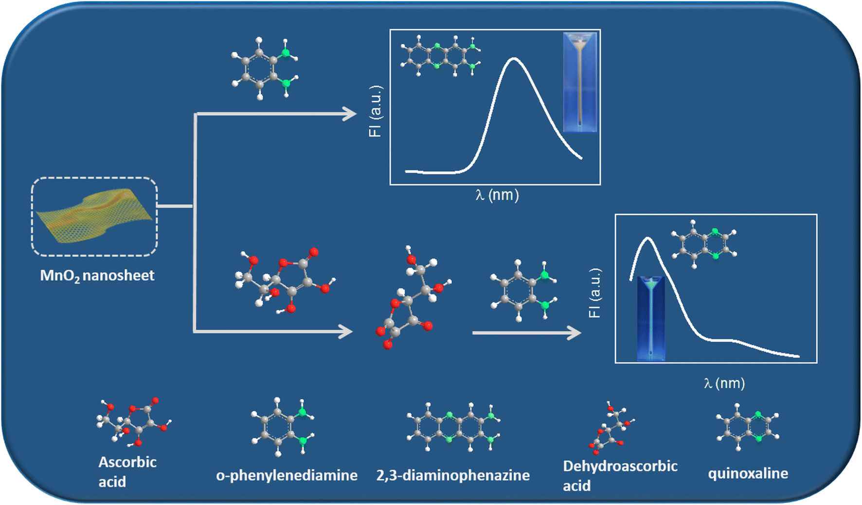 A MnO2 nanosheet-based ratiometric fluorescent nanosensor with single ...
