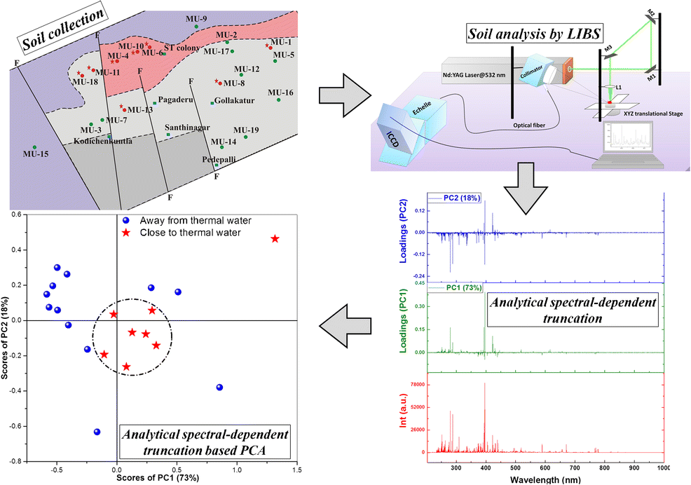 Application of laser-induced breakdown spectroscopy (LIBS) coupled with PCA for rapid ...