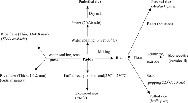 Processed rice starch characteristics and morphology | SpringerLink