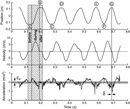 On rhythmic and discrete movements: reflections, definitions and ...