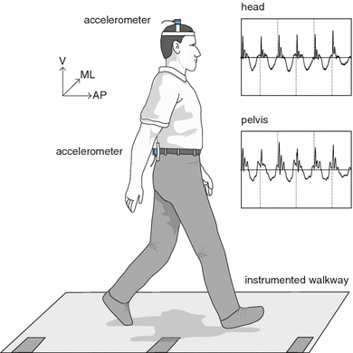 Walking speed, cadence and step length are selected to optimize the ...