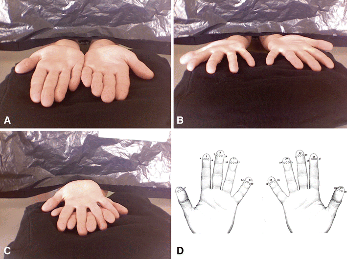 Relative finger position influences whether you can localize tactile ...