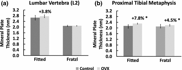 Characterising Bone Material Composition and Structure in the ...