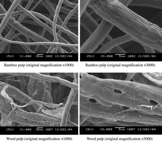 Characterization and acetylation behavior of bamboo pulp | SpringerLink