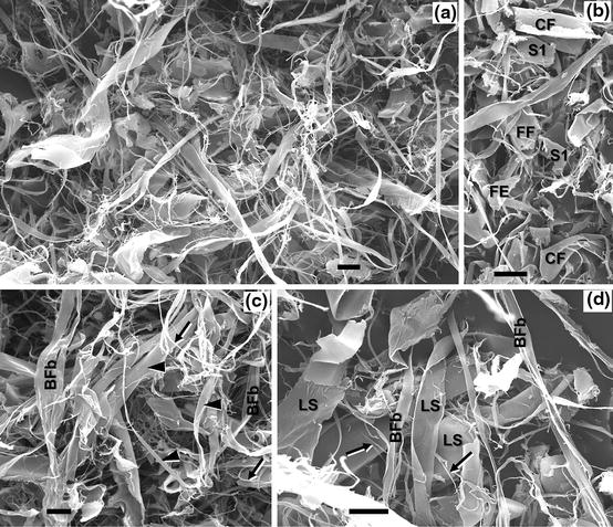 Fiber- and fine fractions-derived effects on pulp quality as a result ...