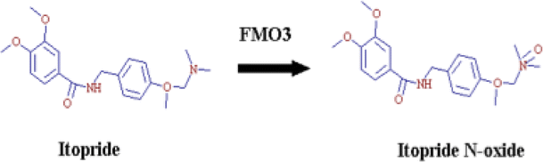 Effect of two-linked mutations of the FMO3 gene on itopride metabolism ...