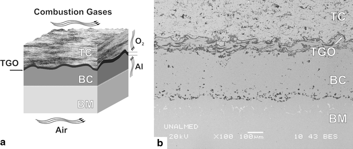 Diffusion–reaction of aluminum and oxygen in thermally grown Al2O3 ...