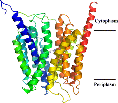 The Structure and Function of OxlT, the Oxalate Transporter of ...