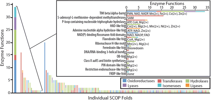 The TIM Barrel Architecture Facilitated the Early Evolution of Protein ...