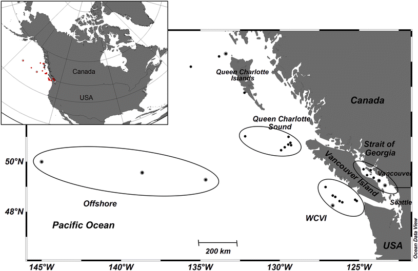 Ingestion of Microplastics by Zooplankton in the Northeast Pacific ...