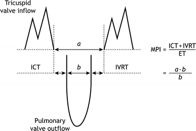 Use of the Myocardial Performance Index to Assess Right Ventricular ...