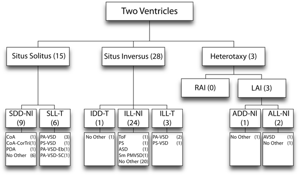 Dextrocardia: Practical Clinical Points and Comments on Terminology ...