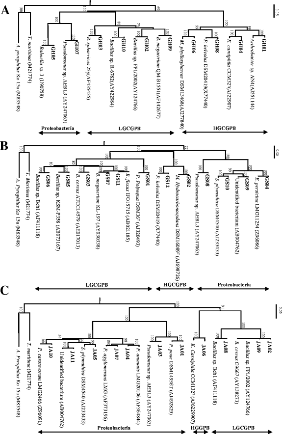Endophytic Bacterial Communities in Ginseng and their Antifungal ...