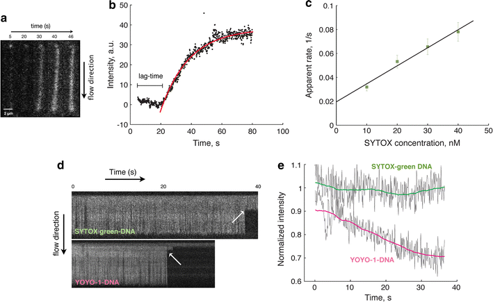 The fluorescence properties and binding mechanism of SYTOX green, a ...
