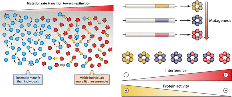 Quasispecies and virus | SpringerLink