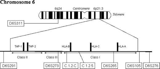 LOH at 6p21.3 region and HLA class altered phenotypes in bladder ...