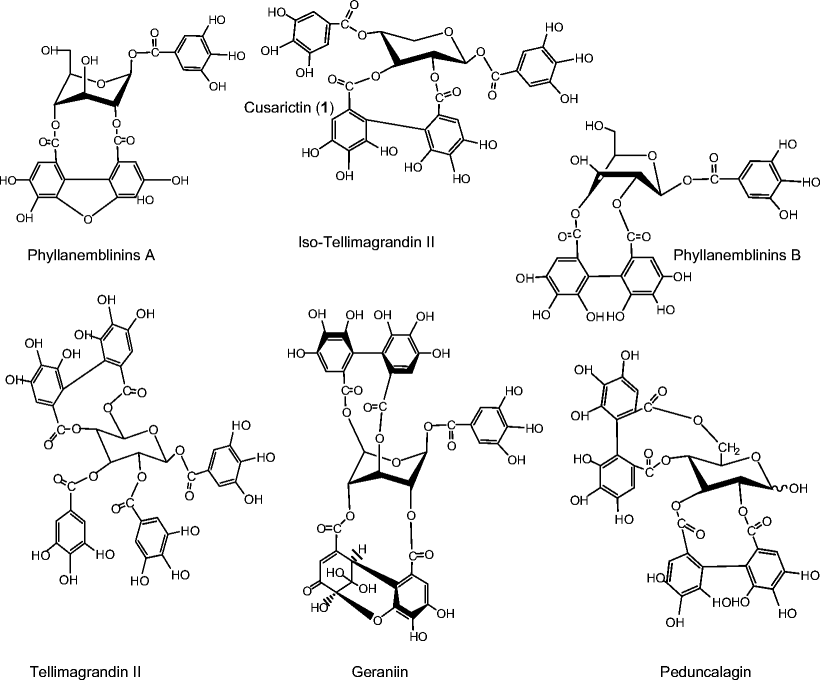 Microbial production of ellagic acid and biodegradation of ...
