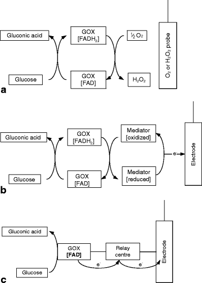 Glucose oxidase: natural occurrence, function, properties and ...