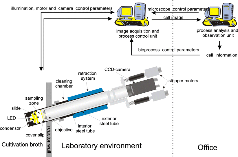 In situ sensor techniques in modern bioprocess monitoring | SpringerLink