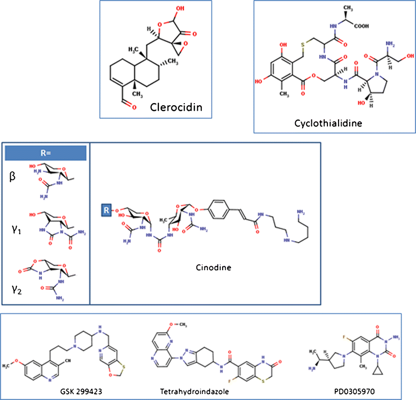 Exploiting bacterial DNA gyrase as a drug target: current state and ...