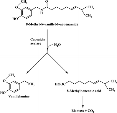 Metabolic characteristics of the species Variovorax paradoxus ...
