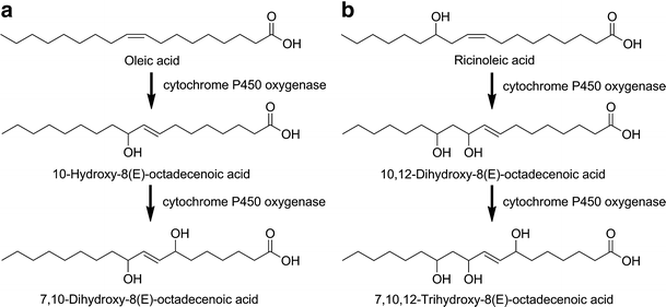 Production of long-chain hydroxy fatty acids by microbial conversion ...