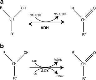 An overview on alcohol oxidases and their potential applications ...