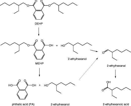 Leaching of the plasticizer di(2-ethylhexyl)phthalate (DEHP) from ...