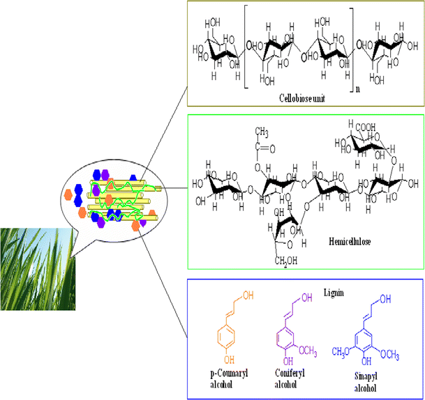 Pyroligneous acid—the smoky acidic liquid from plant biomass | SpringerLink
