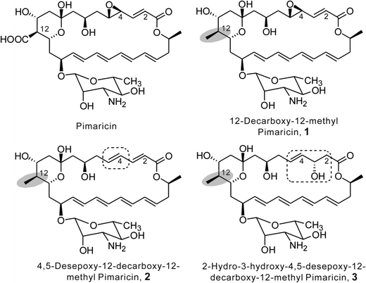 Engineered biosynthesis of pimaricin derivatives with improved ...