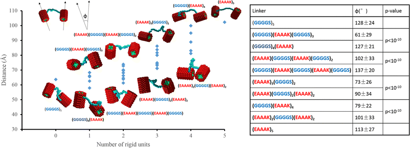 Construction of a linker library with widely controllable flexibility ...