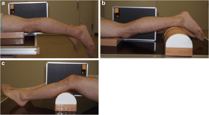 Anterior laxity of the knee assessed with gravity stress radiograph ...