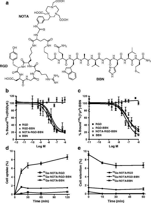 68Ga-labeled NOTA-RGD-BBN peptide for dual integrin and GRPR-targeted ...