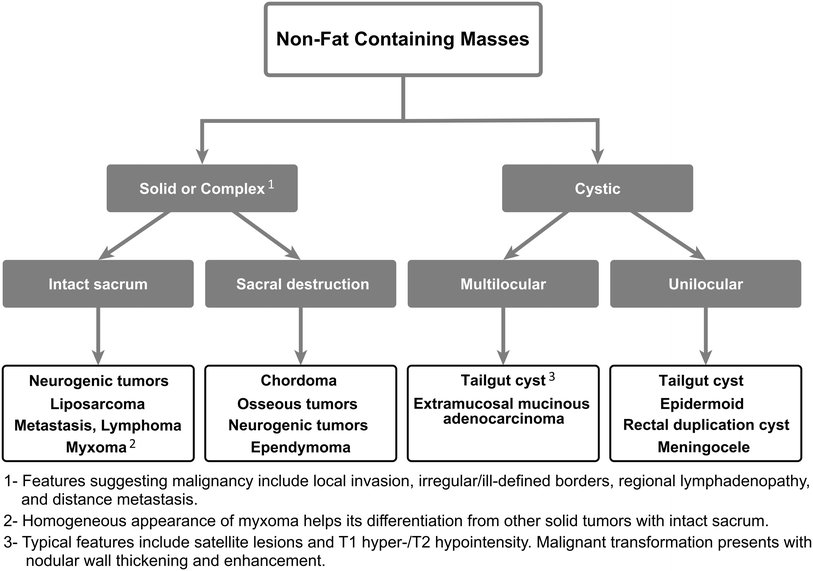 MR imaging of the retrorectal–presacral tumors: an algorithmic approach ...