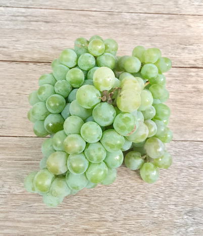 “Bunch of grapes” in complete hydatidiform mole | SpringerLink