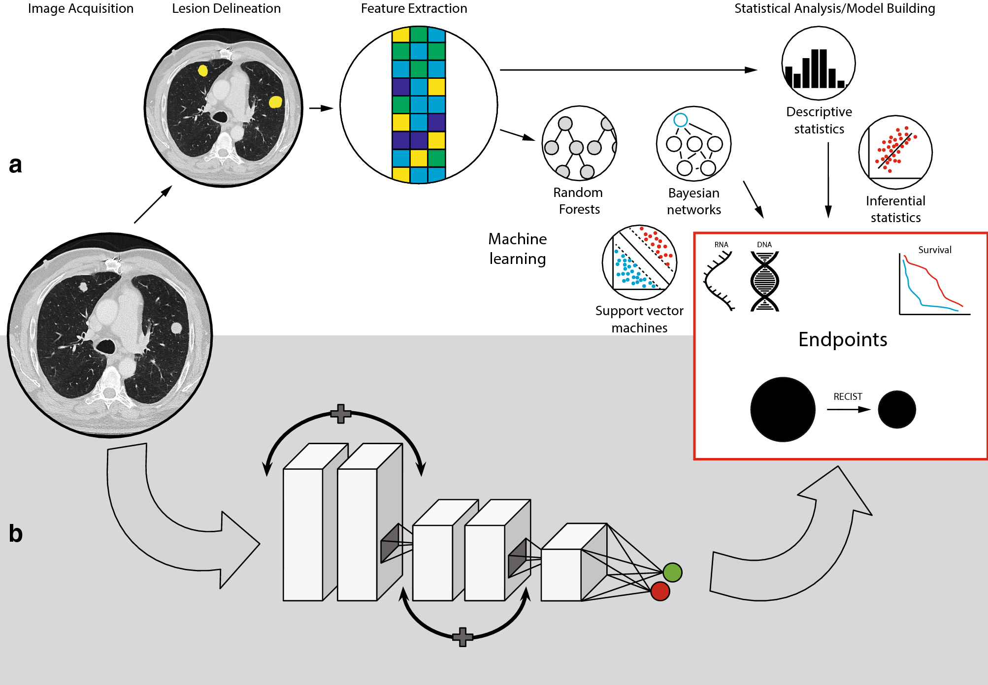Radiogenomics: bridging imaging and genomics | SpringerLink
