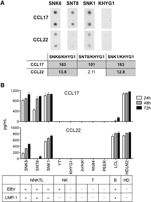 CCL17 and CCL22/CCR4 signaling is a strong candidate for novel targeted ...