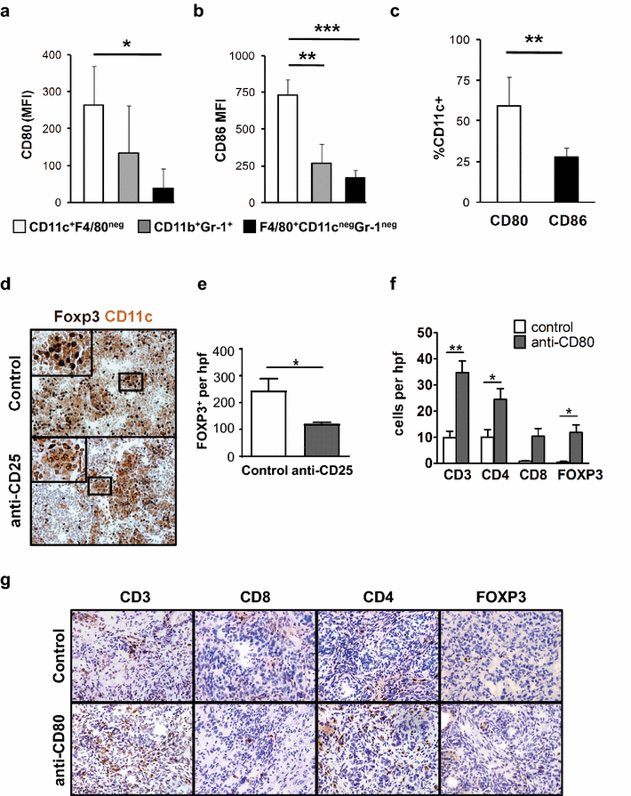 CTLA-4/CD80 pathway regulates T cell infiltration into pancreatic ...