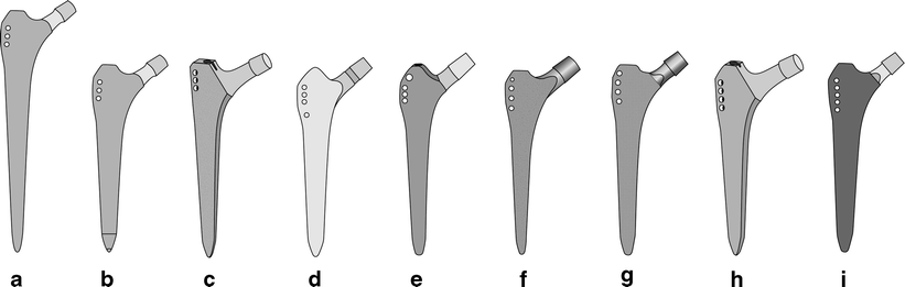 Radiological identification of Zweymüller-type femoral stem prosthesis ...