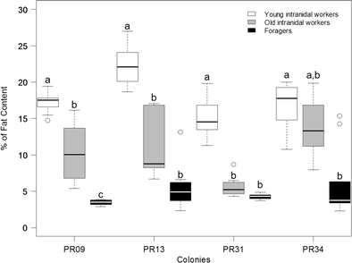 Diversity in identity: behavioral flexibility, dominance, and age ...